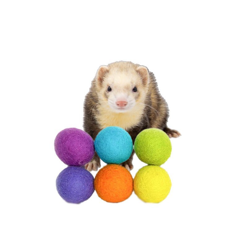 Ferret Small Stashing Balls (Rainbow Land) - Set of 6 – The Pampered Ferret