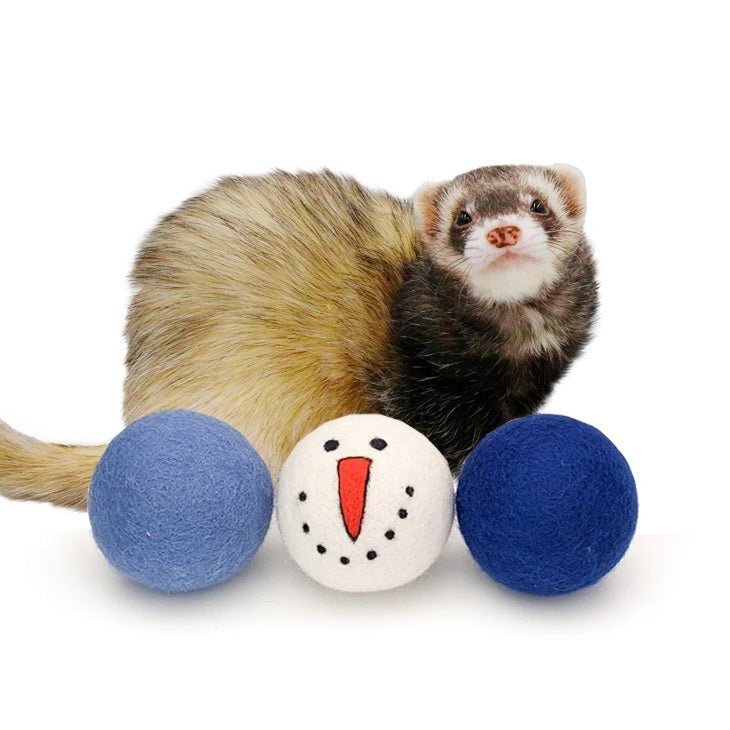 Ferret Stashing Balls (Blue Snowman) - Set of 3 – The Pampered Ferret